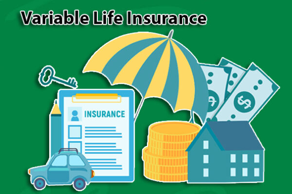 Variable Life Insurance - ROMANTICFUNPLACES